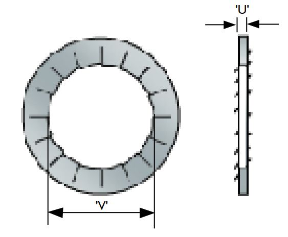 Lông Đền Vênh Cable Gland Serrated Washer - Khang Đông Nam
